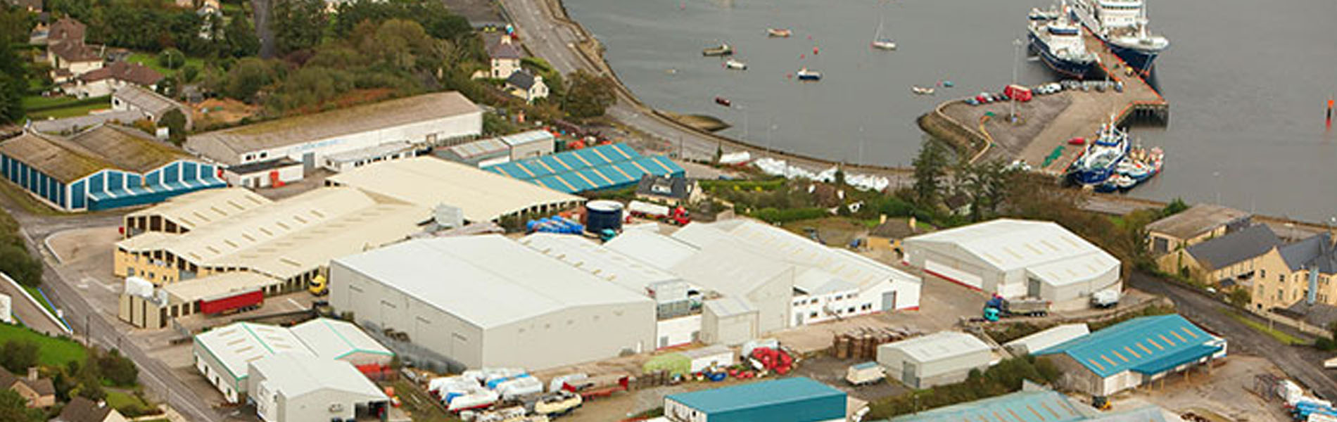 About Ward Fish - Sean Ward Fish Exports LtdSean Ward Fish Exports Ltd