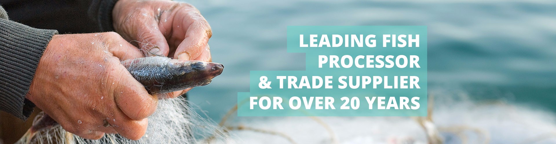 Homepage - Sean Ward Fish Exports LtdSean Ward Fish Exports Ltd